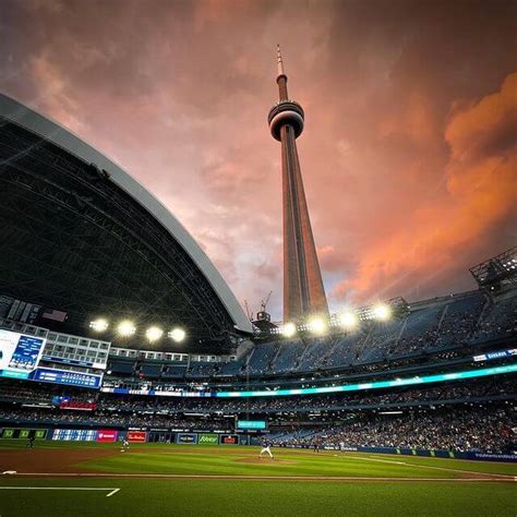 Casal Flagrado Fazendo Sexo Em Partida Nos Eua Veja Momento