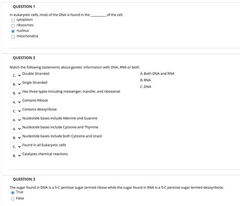 Solved QUESTION Of The Cell In Eukaryotic Cells Most Of Chegg