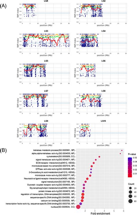 Analytical Results Of Mutmap Approach In Each Linkage Group A And Download Scientific Diagram