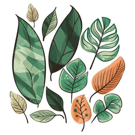 يترك نمط ملون ورقة الشجر نمط اوراق اشجار Png صورة للتحميل مجانا