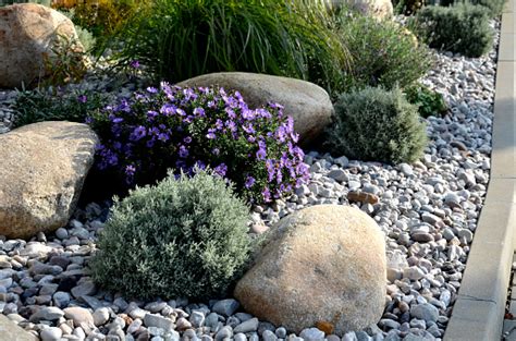 다년생 소나무와 회색 화강암 바위 뿌리 껍질과 자갈이 있는 장식용 화단은 주차장 쇼핑 센터 근처의 도시 적 분위기에서 볼 수