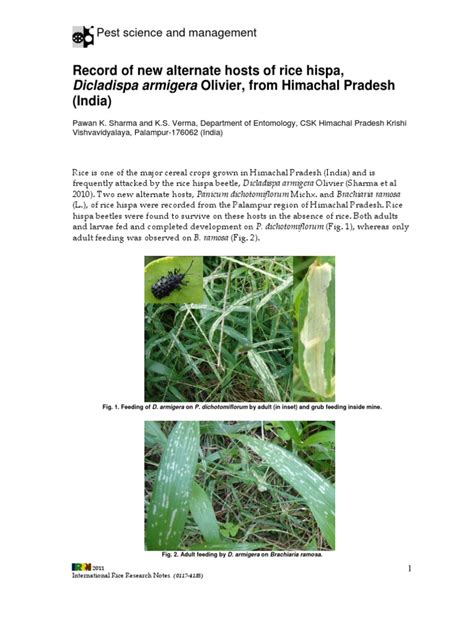 Record Of New Alternate Hosts Of Rice Hispa Dicladispa Armigera Olivier From Himachal Pradesh