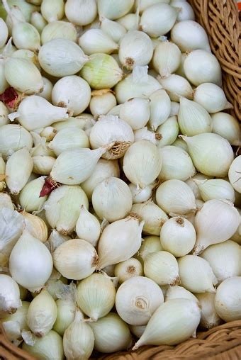 농산물 직거래 장터에 있는 작은 흰 진주 양파로 가득 찬 고리 버들 바구니 고리 세공에 대한 스톡 사진 및 기타 이미지 고리 세공 농산물 직판장 농수산물 코너