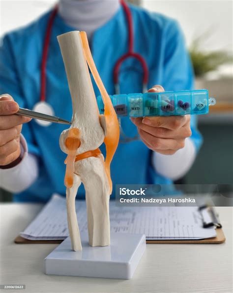 건강 전문가 개념으로 의료 상담 중 무릎 관절 모델에 대한 자세한 검사 외상학에 대한 스톡 사진 및 기타 이미지 외상학 건강 진단 건강관리와 의술 Istock