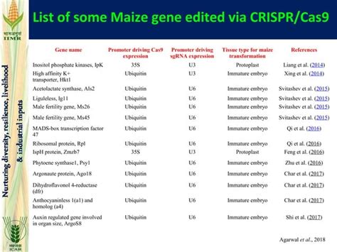 Genome Editing With Engineered Nucleases PPT Programming Languages Computing
