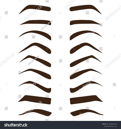 Eyebrow Shape Set Different Types Eyebrows เวกเตอรสตอก ปลอดคาลขสทธ