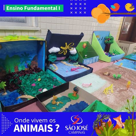 Onde vivem os animais? – Escola Salesiana São José