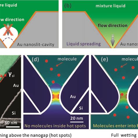 Schematic Drawings Of Wetting Inside A Gold Nanopore Cavity A Download Scientific Diagram