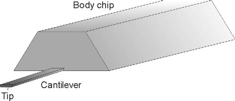 Figure 11 From Apertureless Scanning Near Field Optical Microscope