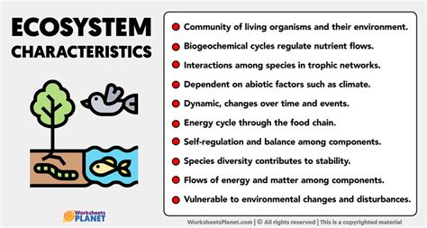 Characteristics Of An Ecosystem