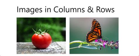 how to display wordpress photos in columns and rows utibe inyang