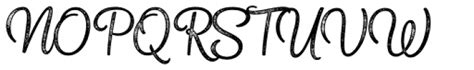 sonder print script1 font script vintage what font is