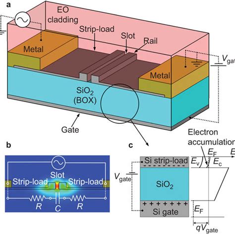 Schematic Of An Soh Modulator A The Silicon Slot Waveguide Is Download Scientific Diagram
