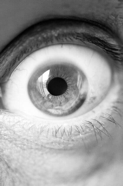 Premium Photo Eye Close View Human Eye Glance Photo Background Emotional Look