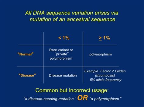 081308 Dna Sequence Variation