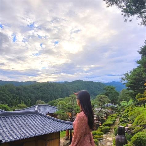 경북 봉화 여행 아무것도 하지 않을 때 오히려 힐링 되는 곳 그곳은 경북 봉화 펜션 오로지 카페 홀리가든 약수 식당 닭불고기 네이버 블로그