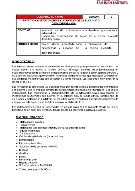 G P Bases Moleculares Y Celulares DE LA Medicina II IA MARCO TEÓRICO Las células