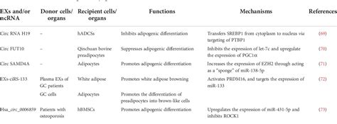 Table From The Emerging Roles And Mechanisms Of Exosomal Non Coding RNAs In The Mutual