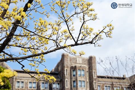 연세대학교 Yonsei University 연세대 학위수여식 지난 24일 연세대학교 경영관에서 열린 학위수여식 라스 뢰케 라스무센 덴마크 총리가 명예정치학박사
