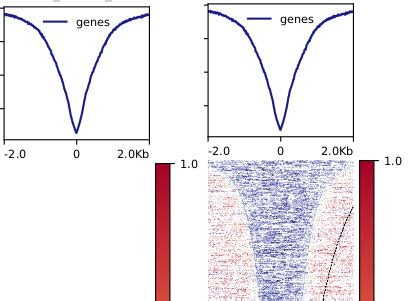 PlotHeatmap And BS Data Issue Deeptools DeepTools GitHub