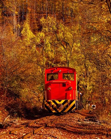 Locomotiva Na Floresta Images Libres De Droit Photos De Locomotiva Na Floresta Depositphotos