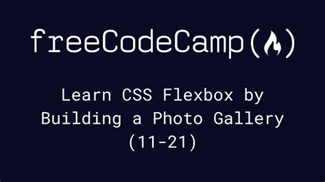 freecodecamp learn css flexbox by building a photo gallery 11 21