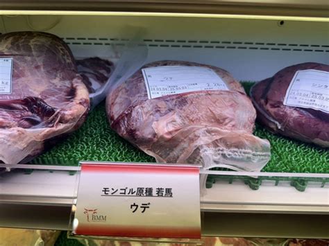 Монголын “Булган мах маркет” компани Япон Улс руу адууны мах экспортлоно Хүнсний хувьсгал