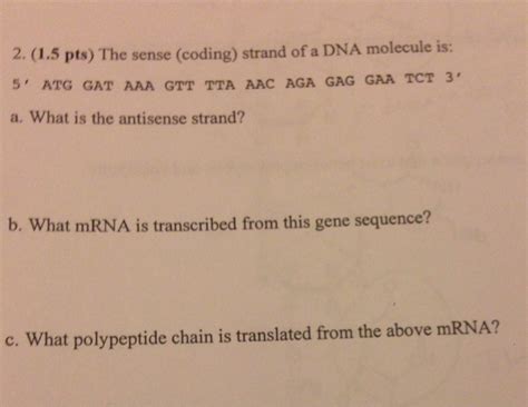 Solved The Sense Coding Strand Of A Dna Molecule Is 5