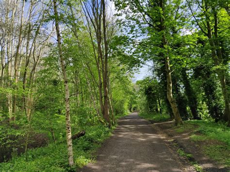 Walk Towpath Tunnel And Colinton Dell Scotland Off The Beaten Track
