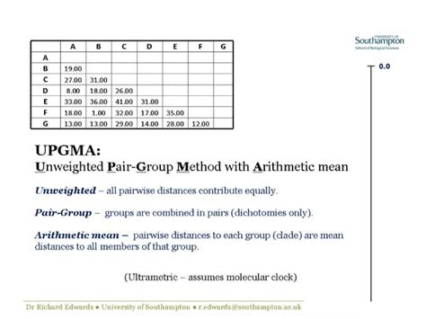 Phylogenetic Tree Construction PPTX