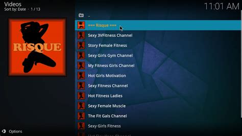 Risque Kodi Addon Adult SFW Kodi Guide Com