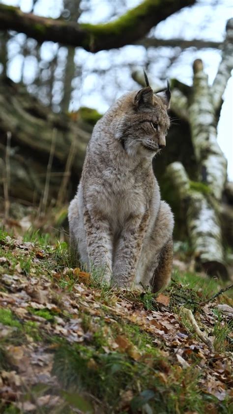 Dof Zone Dof Zone Added A New Photo