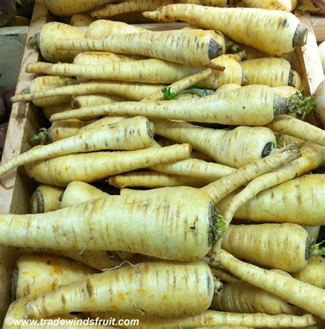 Parsnip Hollow Crown Seeds