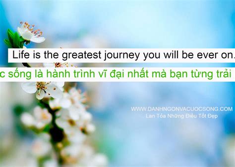 Câu nói hay về trái tim bằng tiếng anh Danh Ngôn Và Cuộc Sống