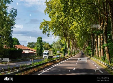 Straight Road With Two Rows Of Trees On Its Edges And Several Vehicles