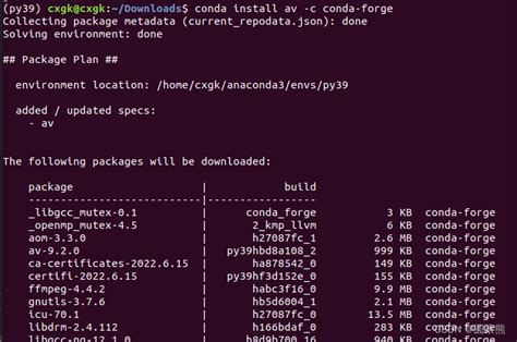 ubuntu18 04 下slowfast网络环境安装及模型测试 python3 9 no module named