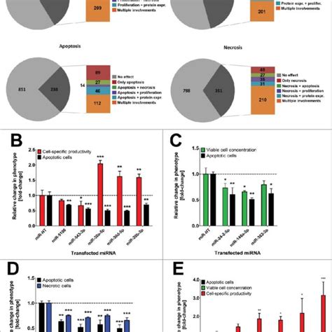 Polyribosome Fractionation From Hacat Cells Polysome Profile Of Hacat