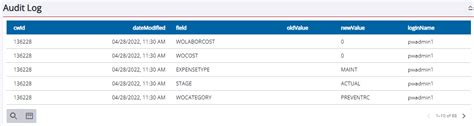 View The Audit Log