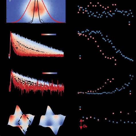 A Exciton Diffusion Length Evaluated From Pl Area With Respect The