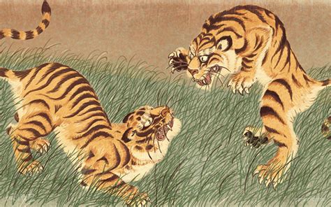 Japanese Tiger Wallpapers Top Free Japanese Tiger Backgrounds