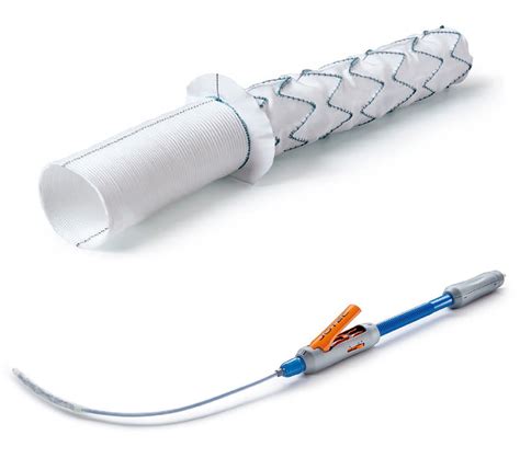 Bioimplant Srl Implantes Quirurgicos