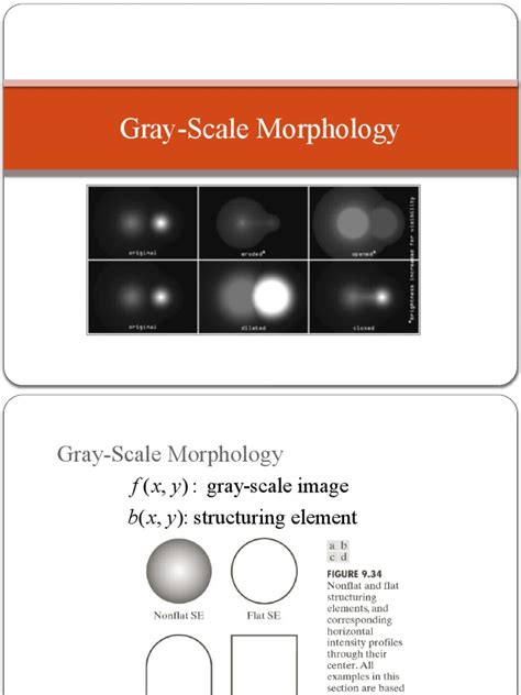 gray scale morphology pdf image segmentation image processing