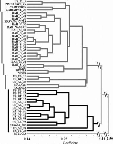 UPGMA Cluster Analysis Of Males Based On Six Standardized Morphological Download Scientific