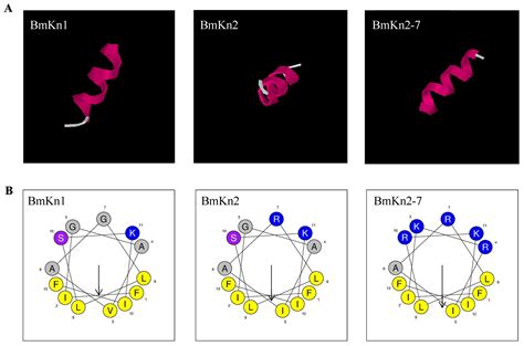 Frontiers Scorpion Venom Peptides Enhance Immunity And Survival In