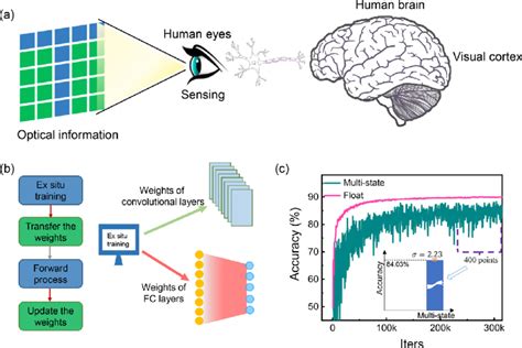 Schematic Illustration Of The Simulation Of Image Recognition In A
