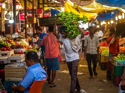 Apmc Vashi Wholesale Market Guide Fruits Vegetables Rates Timings