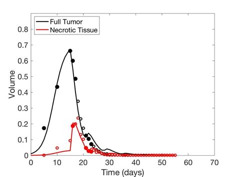 Comparison Of Data Calibration Between The One Compartment Model 2 Download Scientific