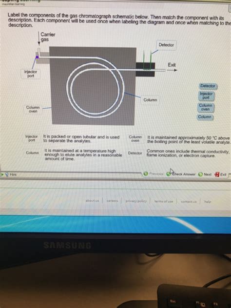 Solved Label The Components Of The Gas Chromatograph Chegg