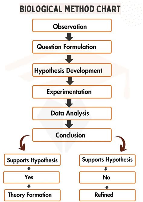 Biological Method Chart Step By Step Guide