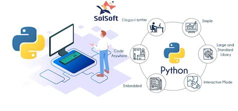 Create A Python Program Or Python Script By Solsoft1 Fiverr